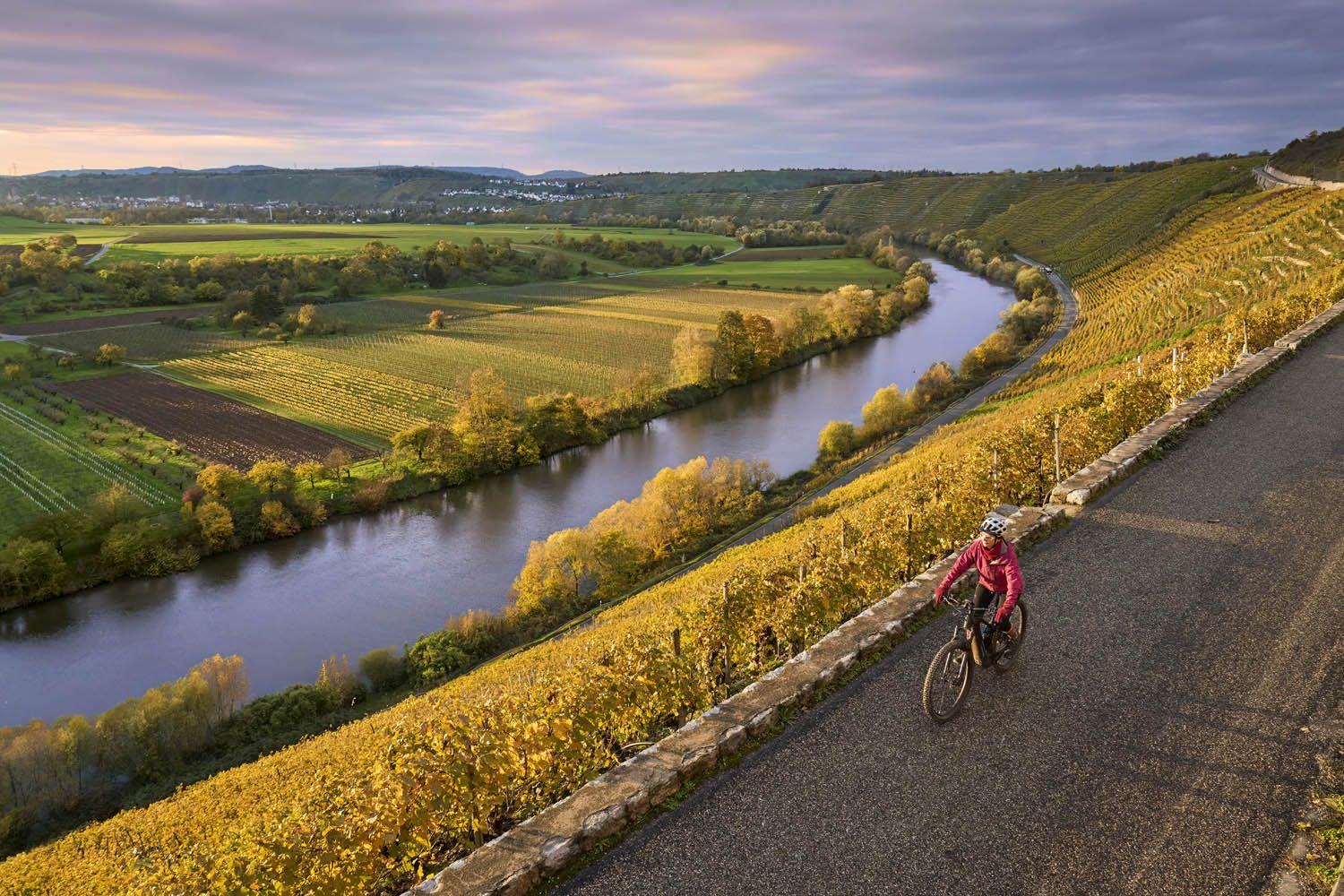 Bosch Performance Line Speed 45 km/h Gen4 Smart System | 1021280