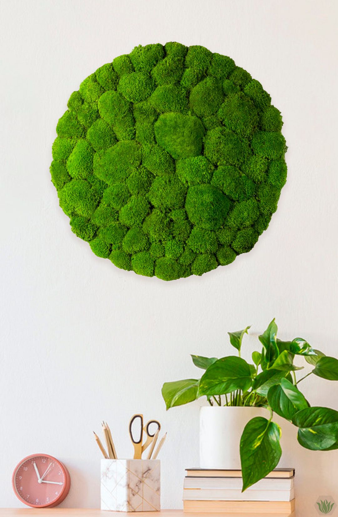 Moos Design Shop | Natürliche Moosbilder & Mooswände