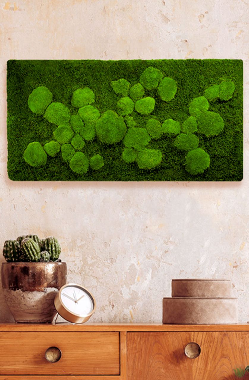 Moosbild Flat Design | Moos Design