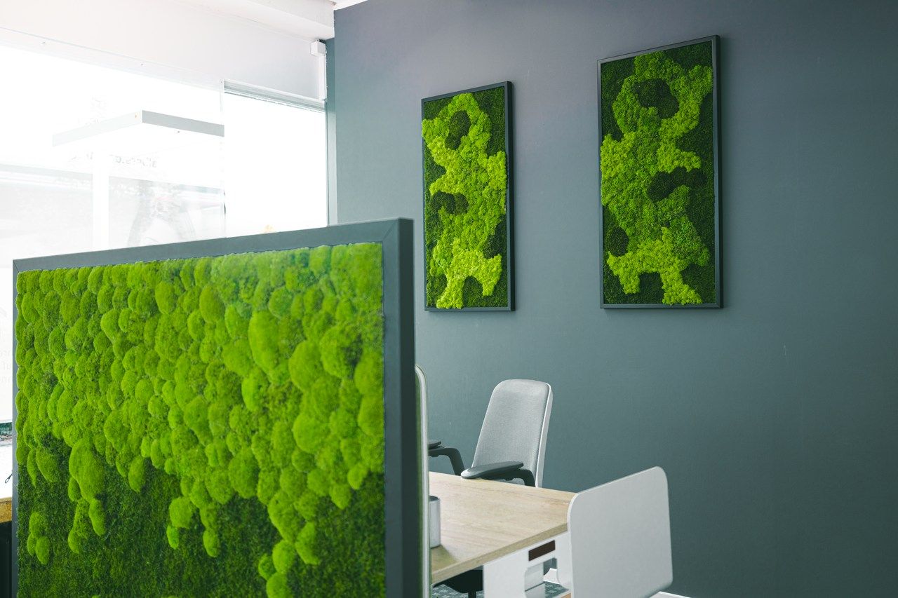 Moosbilder selber machen & passendes Zubehör | Moos Design