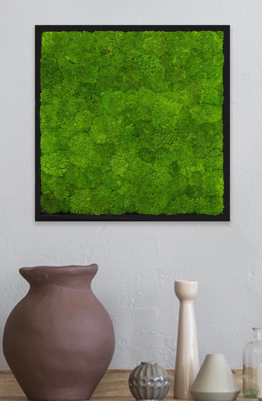 Primal Forest | Moosbild von Moos-Design.de