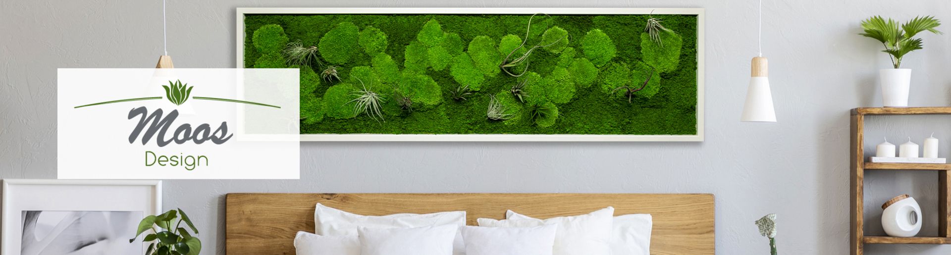 Moosbilder | Moos Design