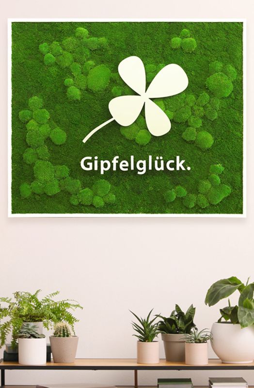 Moos Design Shop | Natürliche Moosbilder & Mooswände