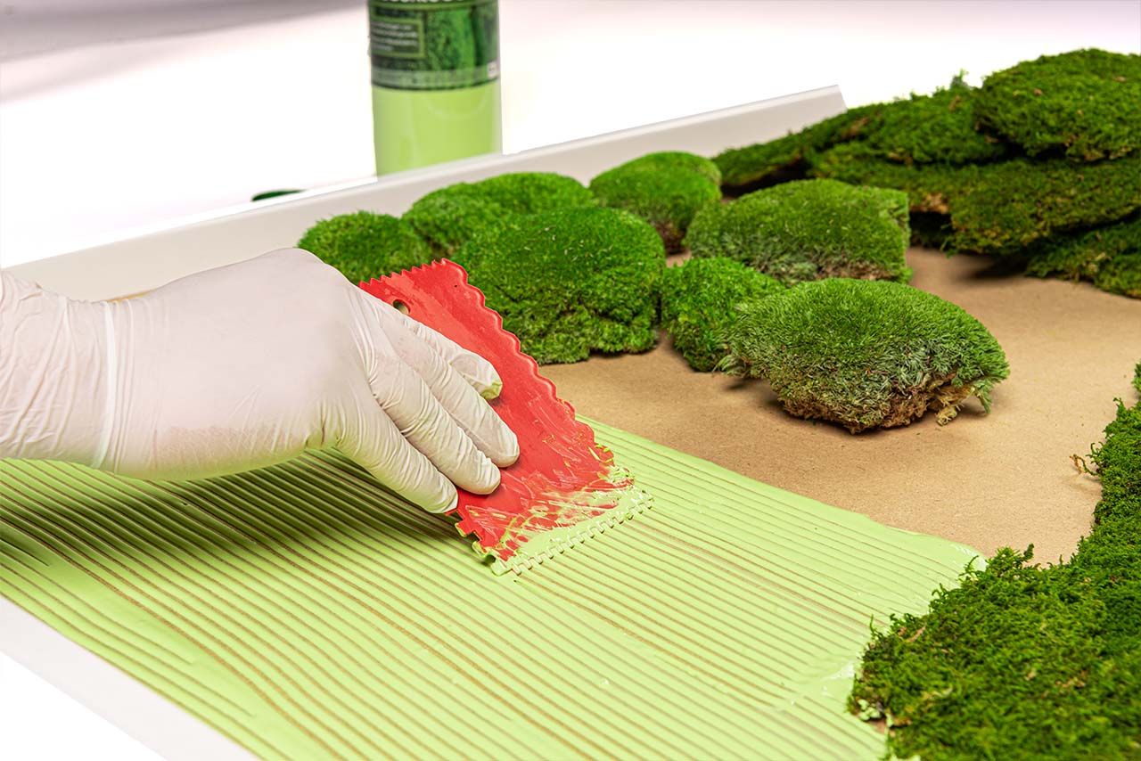 Moosbilder selber machen & passendes Zubehör | Moos Design