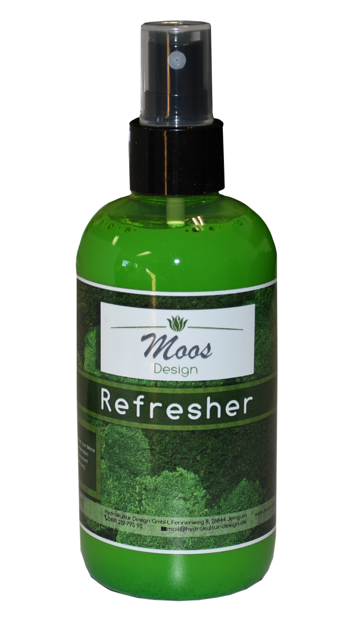 Moosbilder selber machen & passendes Zubehör | Moos Design