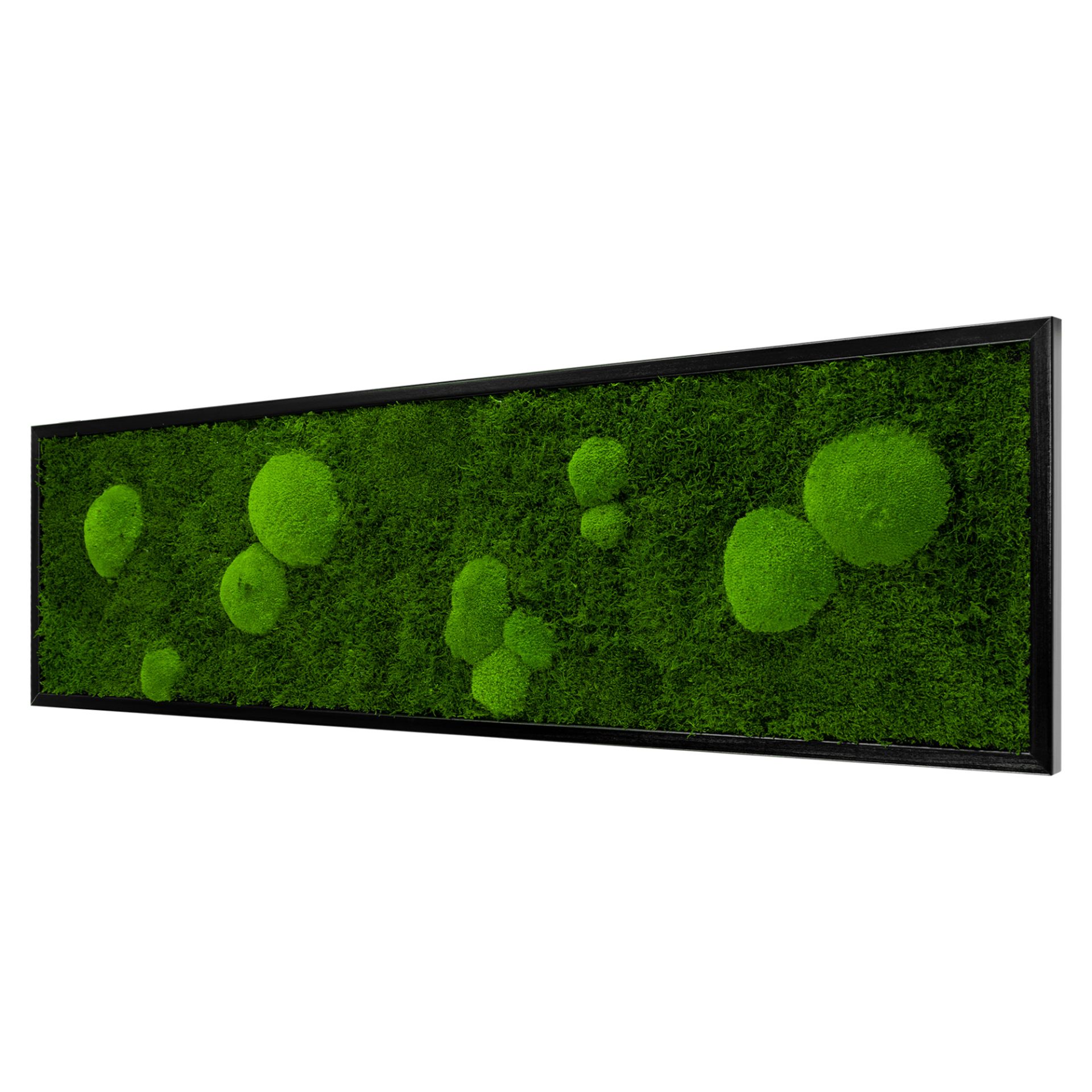 Moos Design Shop | Natürliche Moosbilder & Mooswände