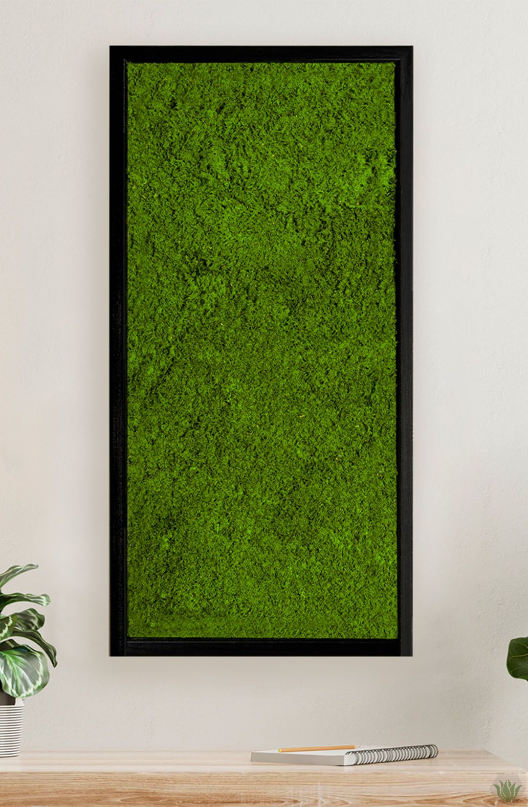 Moos Design Shop | Natürliche Moosbilder & Mooswände