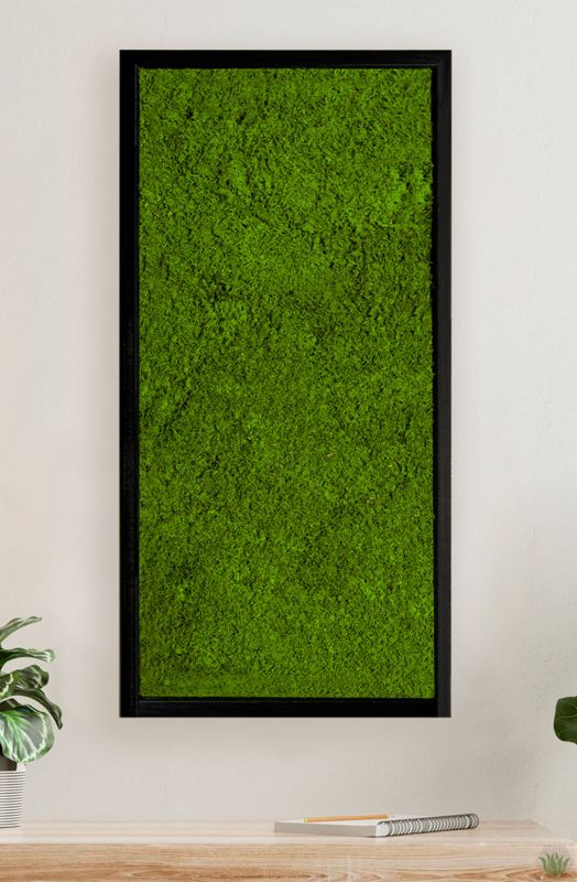 Moos Design Shop | Natürliche Moosbilder & Mooswände