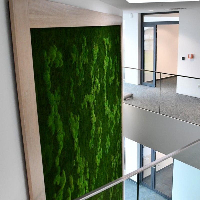 Moos Design Shop | Natürliche Moosbilder & Mooswände