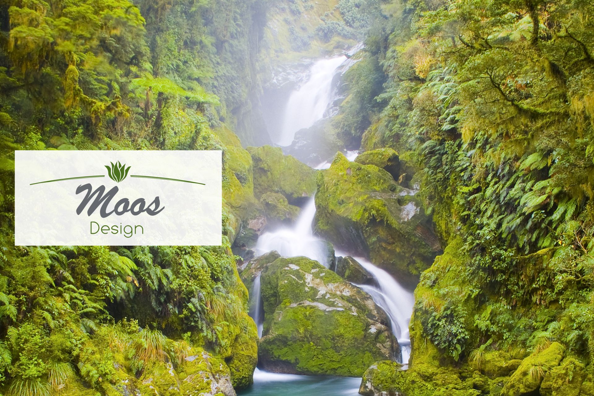 Mooslexikon | Magazin | Moos Design