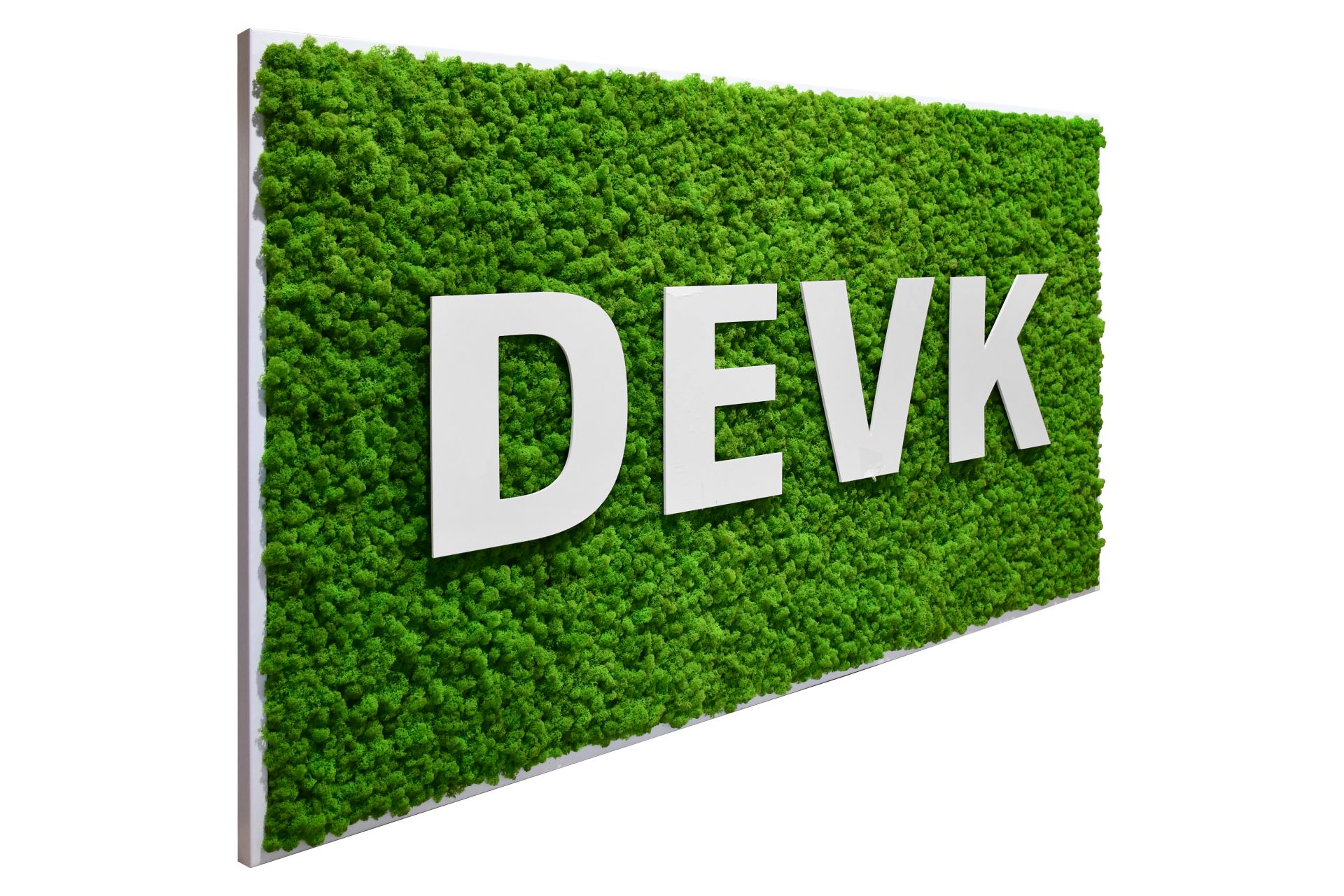 Moosbild mit Logo | Moos Design