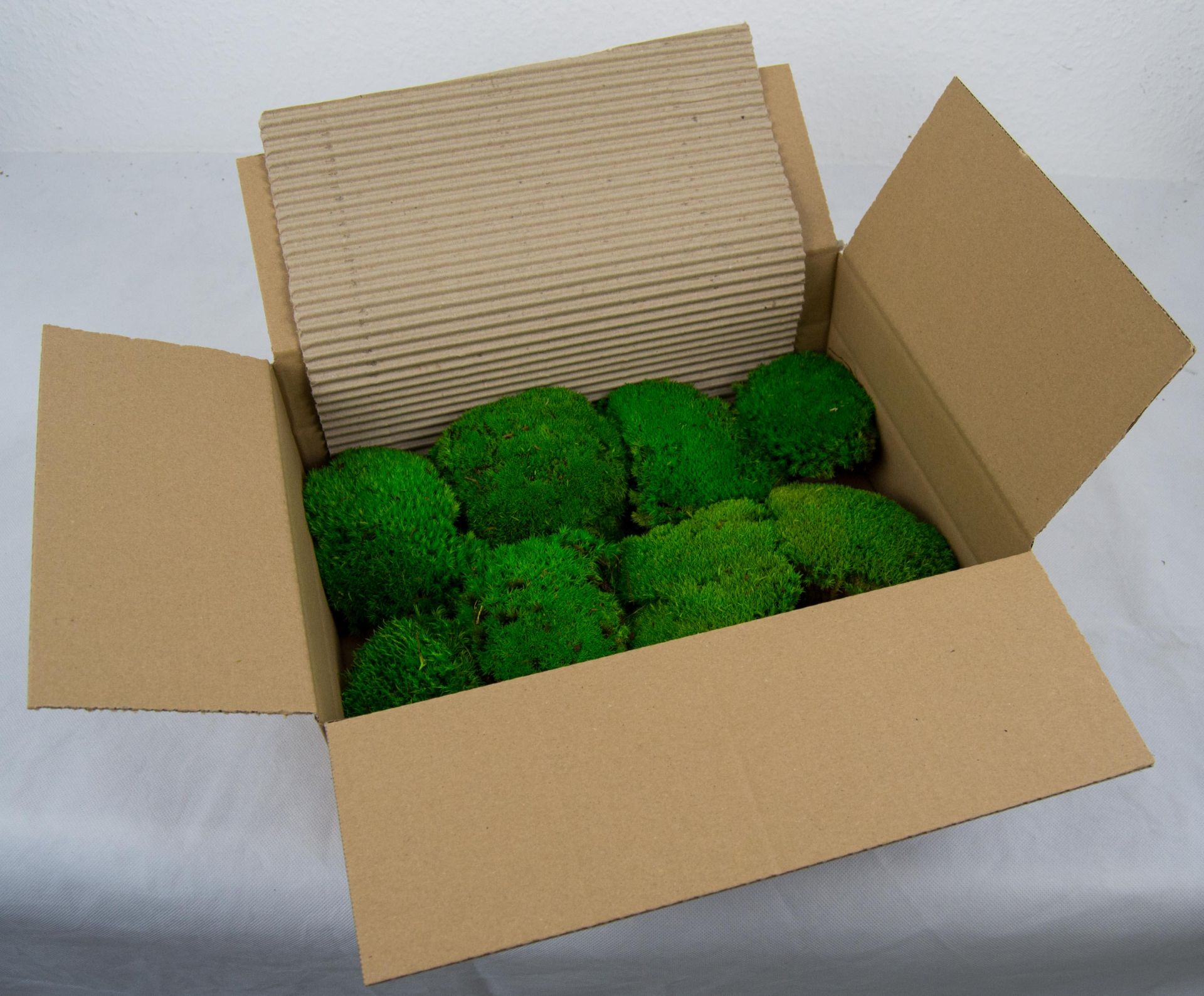 Moosbilder selber machen & passendes Zubehör | Moos Design