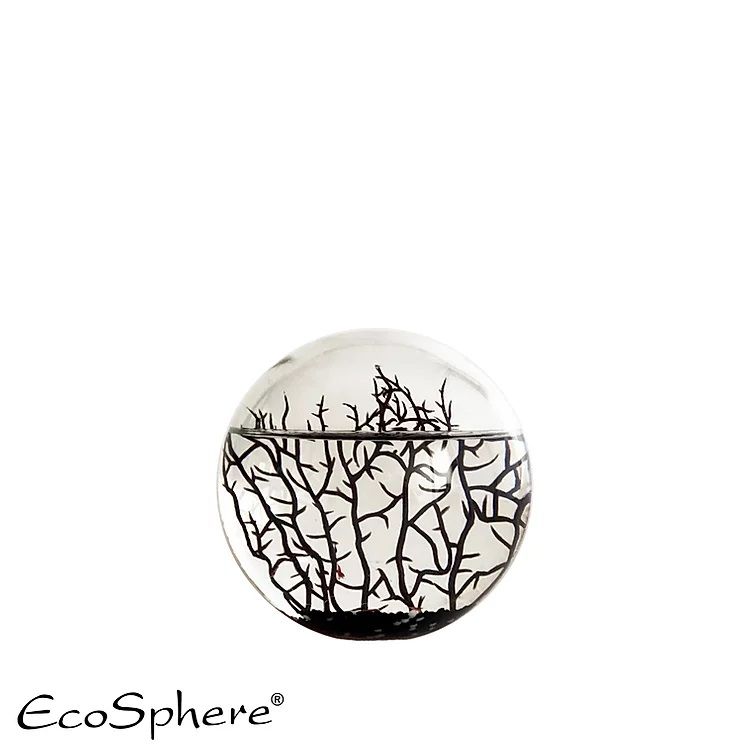 Ecosphere-Shop.de - Ecospheren Europe Ecospheres kaufen