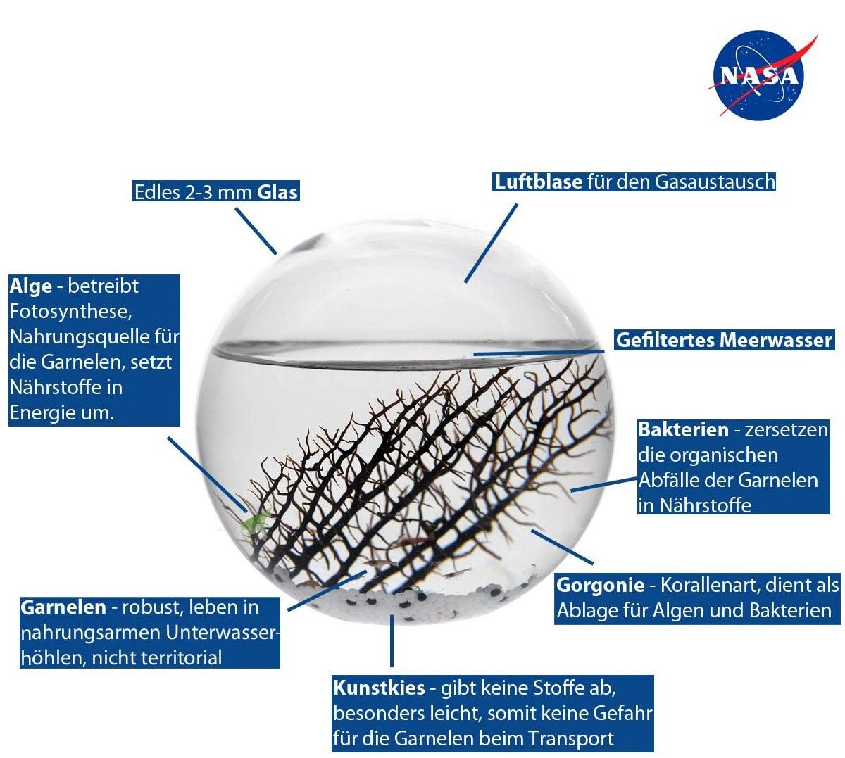 Ecosphere Europe Wissenschaft Hersteller Nasa Biosphere
