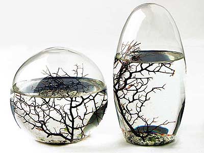 Ecosphere-Shop.de - Ecospheren Europe Ecospheres kaufen