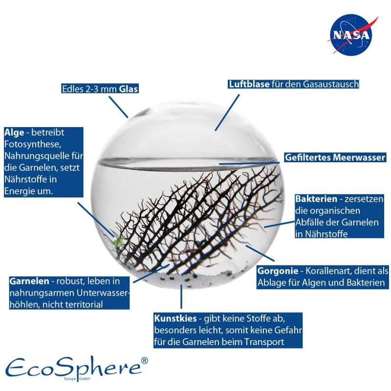 Ecosphere-Shop.de - Ecospheren Europe Ecospheres kaufen