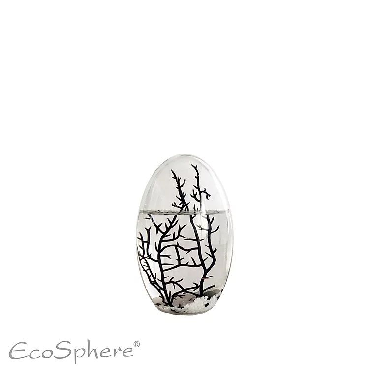 Ecosphere-Shop.de - Ecospheren Europe Ecospheres kaufen