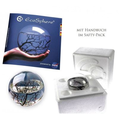 EcoSphere Ökosystem mit Garnelen | Ecosphere-Shop