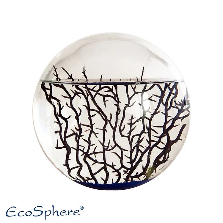 Ecosphere-Shop.de - Ecospheren Europe Ecospheres kaufen