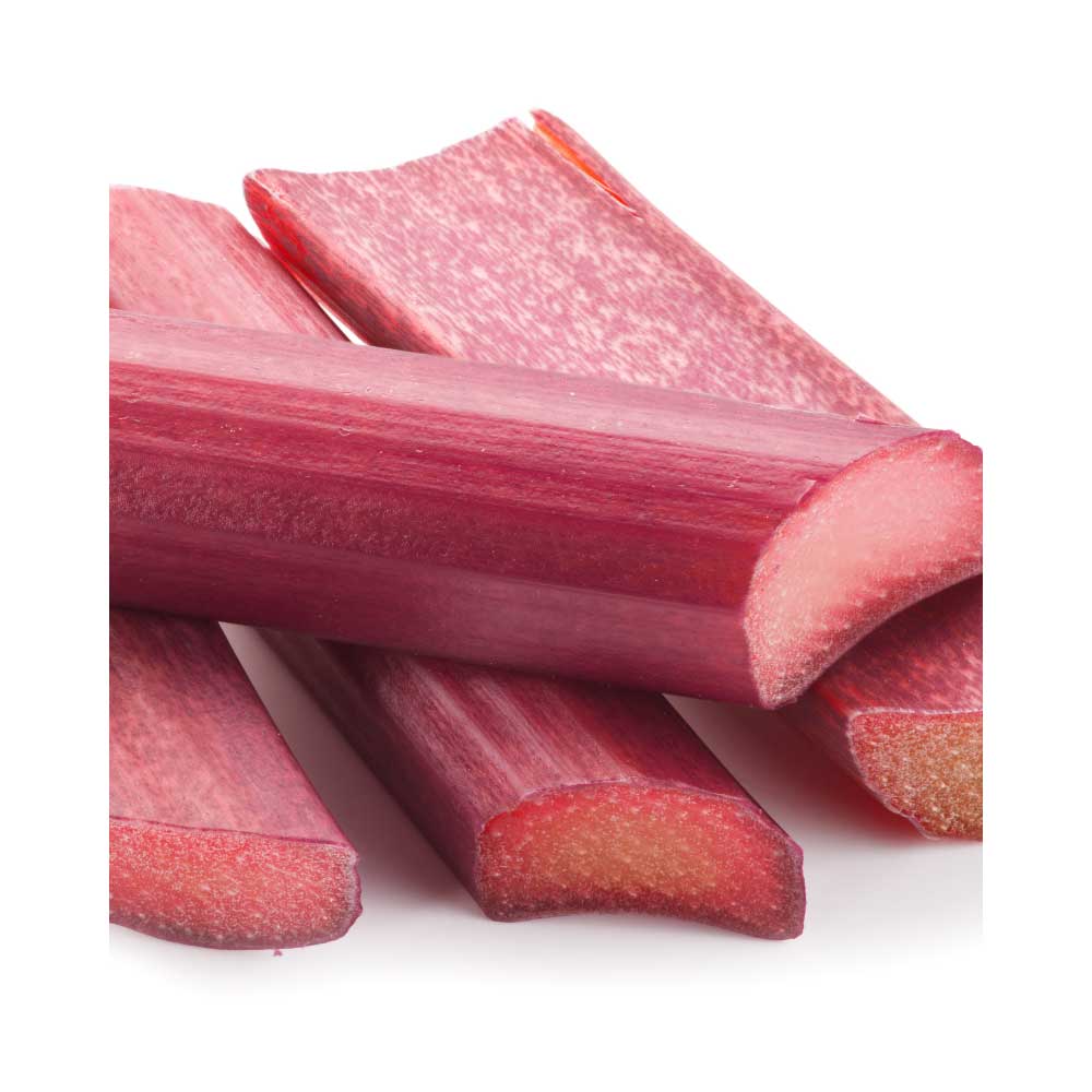 Rabarber Sanvitos® Red / Rheum rhabarbarum - 1 plant in een pot